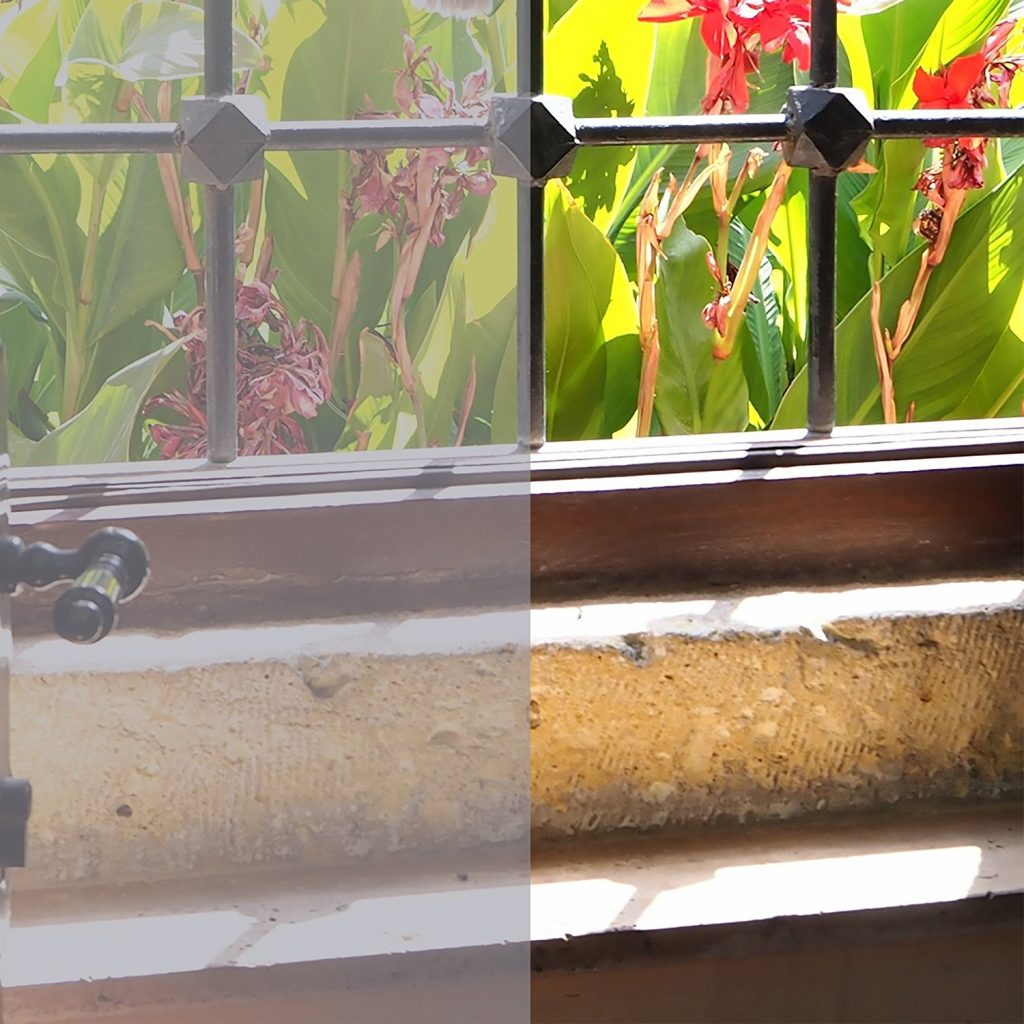 Best Privacy Window Films For Your Home in 2020 | EarlyExperts