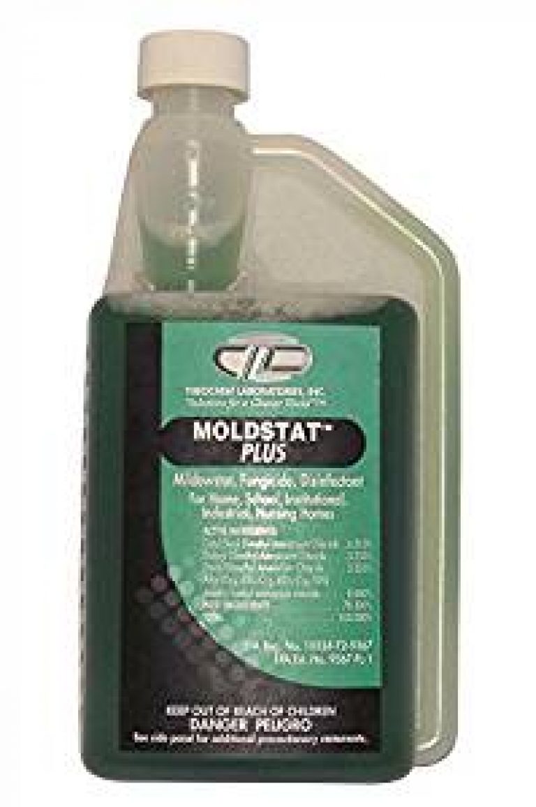 5 Mold Removal Products We Swear By | EarlyExperts